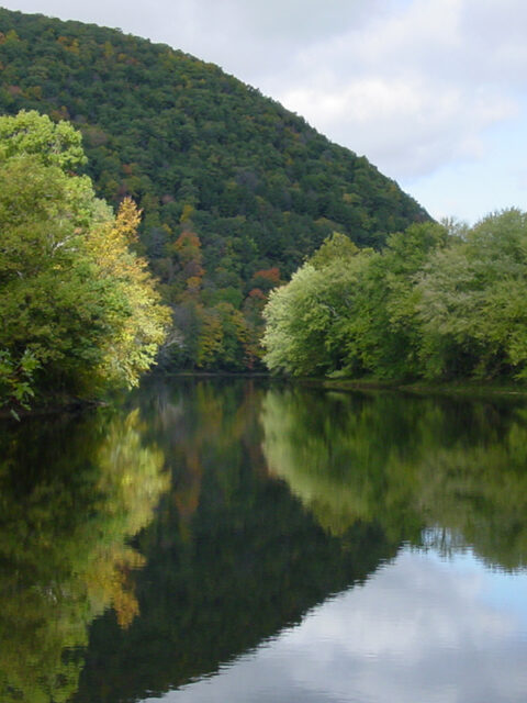 Home - Red Technologies, LLC